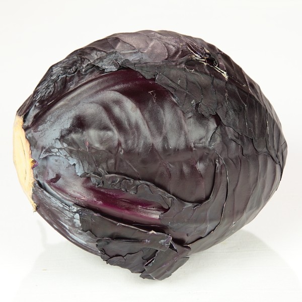 Ricette con Cavolo cappuccio rosso - Casa Pappagallo