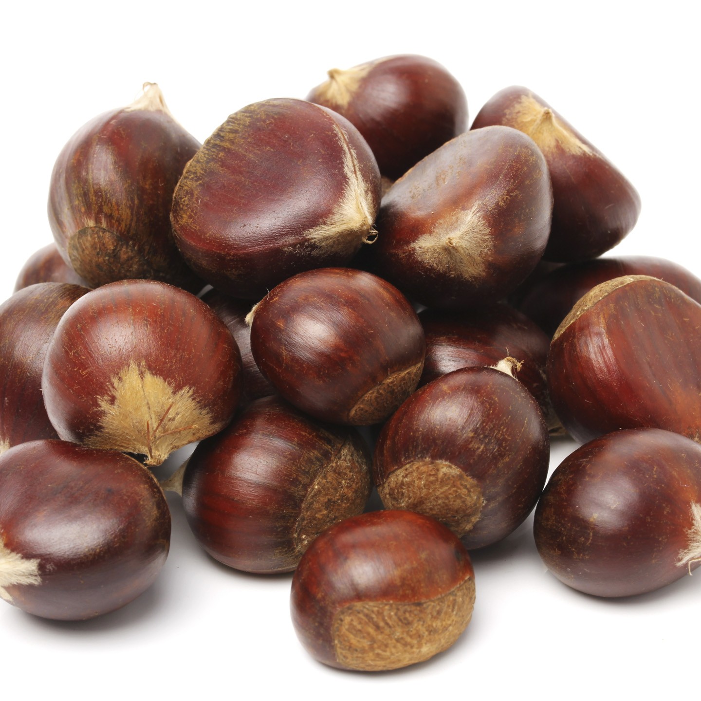 Ricette con Castagne - Casa Pappagallo