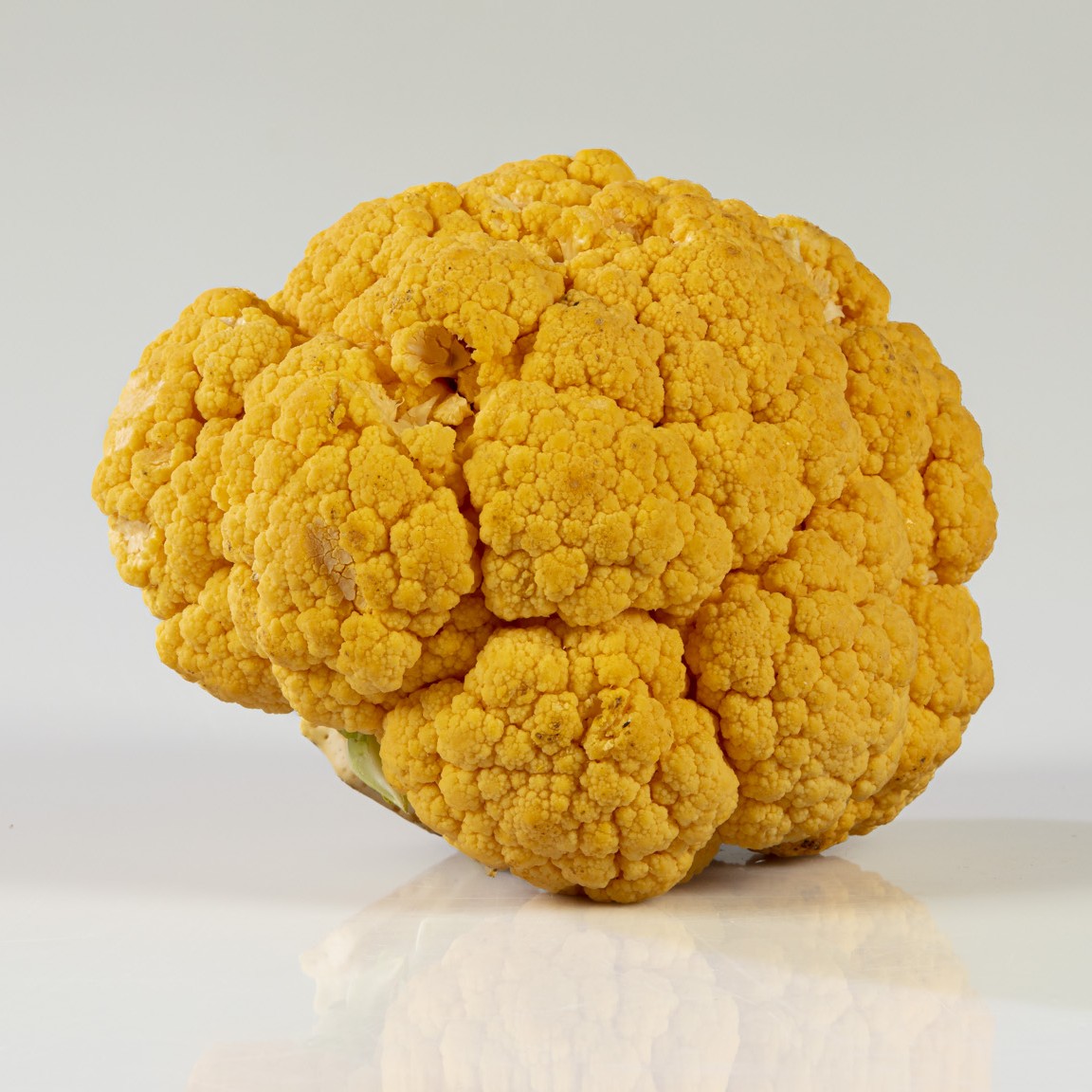 Ricette con Cavolfiore giallo - Casa Pappagallo