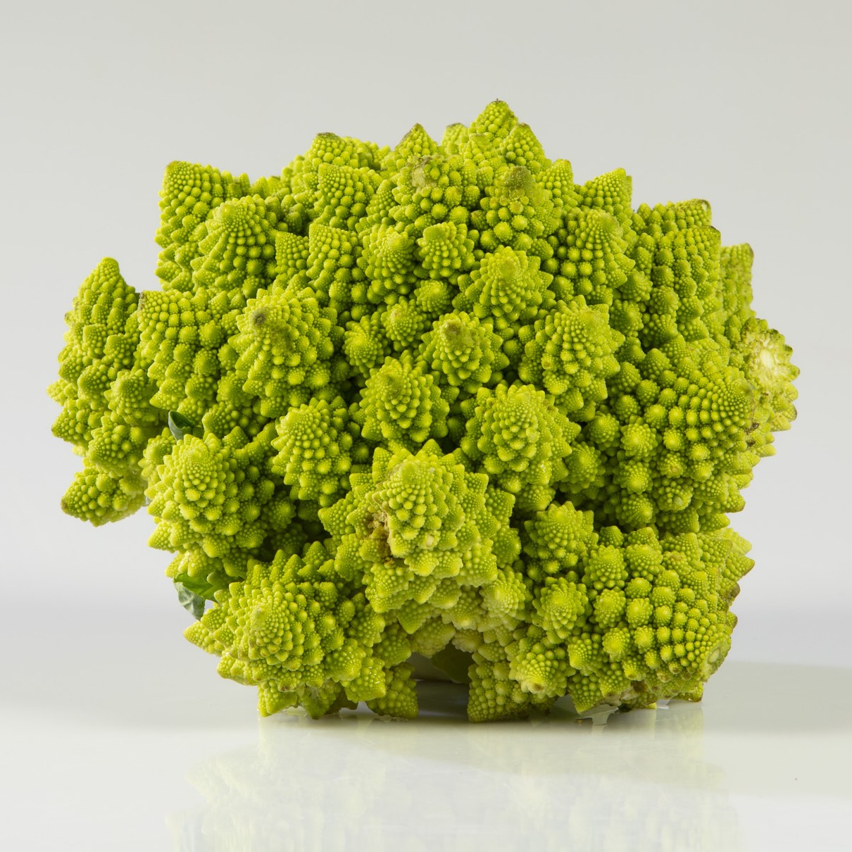 Ricette con Cavolo romano - Casa Pappagallo