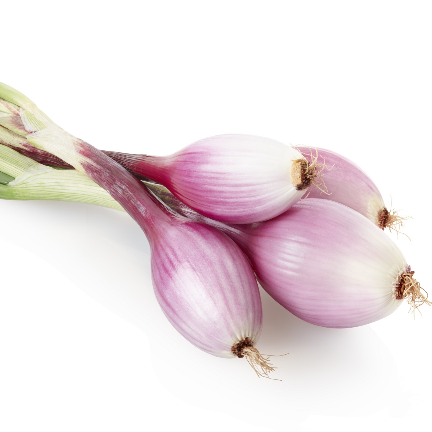 Ricette con Cipolle rosse di Tropea - Casa Pappagallo