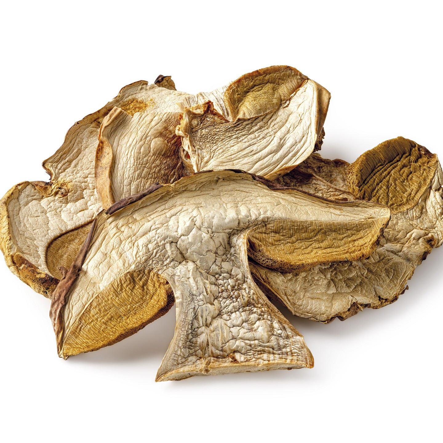 Ricette con Funghi porcini secchi - Casa Pappagallo